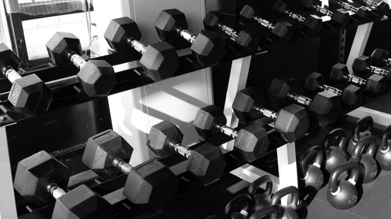 The “Push Pull Legs” PPL Workout Routine