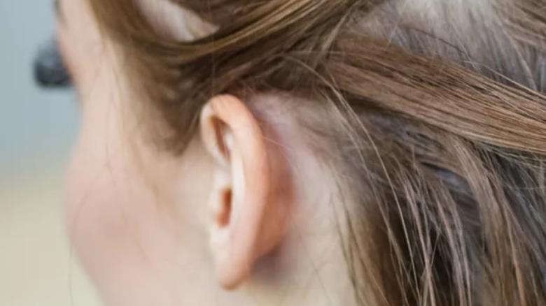 Decoding Hair Salon Lingo: Understanding Single vs. Double-Process Color
